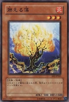 ふるいちオンライン - トレカ/遊戯王OCG/燃える藻 【ノーマル】 EE2-JP063N