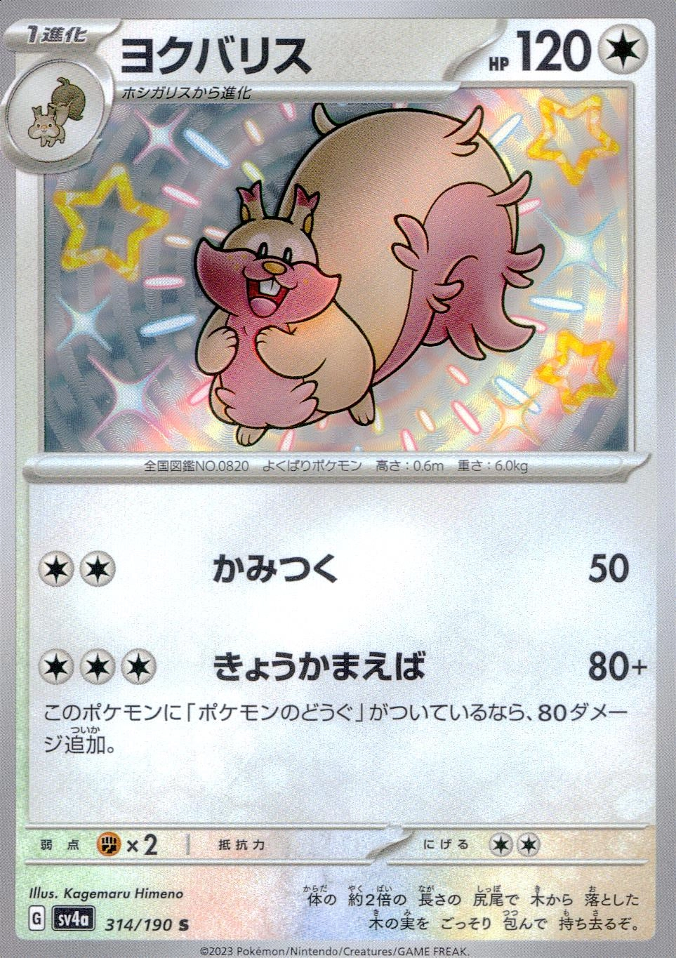 ふるいちオンライン - トレカ/ポケモンカードゲーム/【特選アイテム】ヨクバリス【S】314/190/SV4A/B