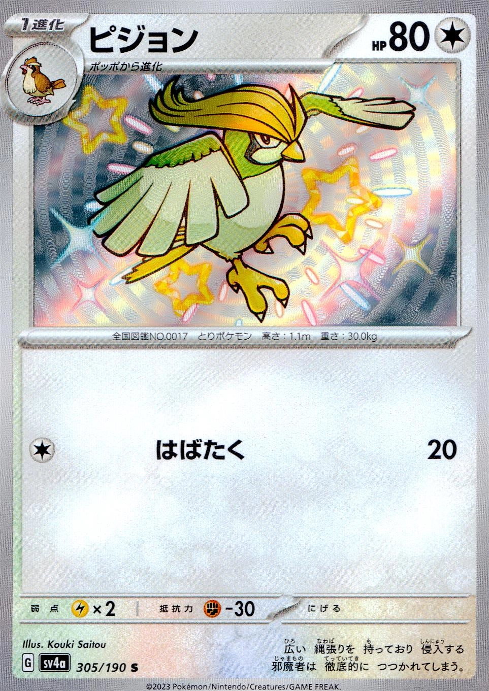 ふるいちオンライン - トレカ/ポケモンカードゲーム/ピジョン【S】305/190/SV4A/B